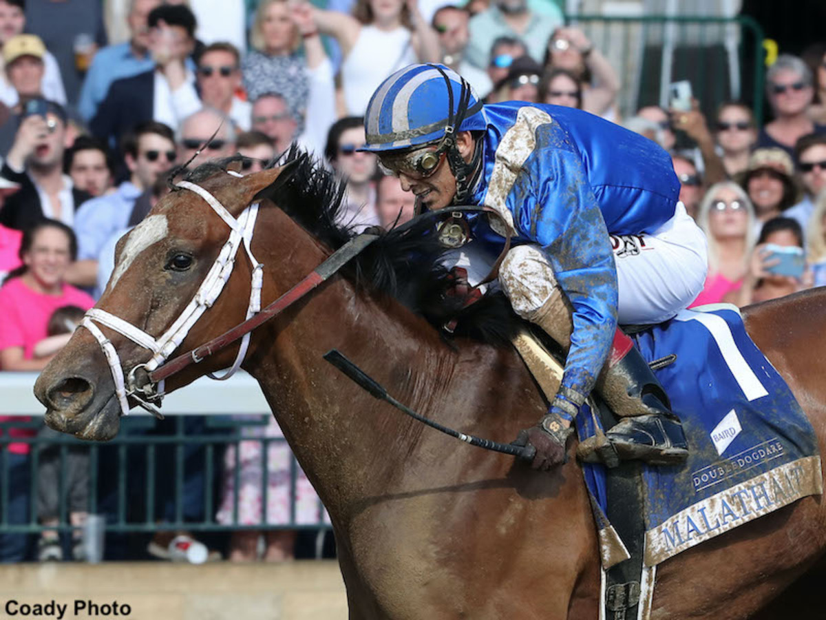 It's A Girl! Champion Malathaat Delivers First Foal - Paulick Report ...