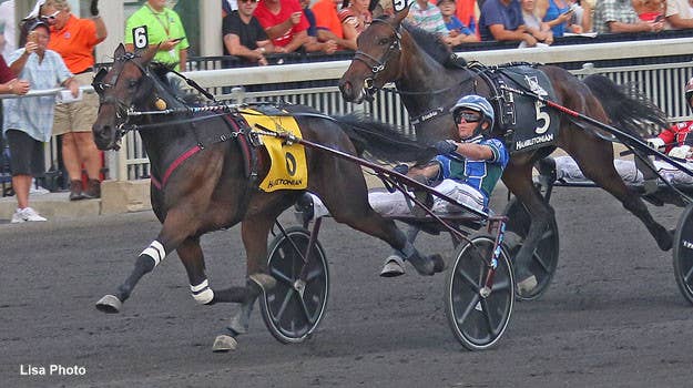 Cool Papa Bell, Sold At Fasig-Tipton’s Lexington Standardbred Sale ...