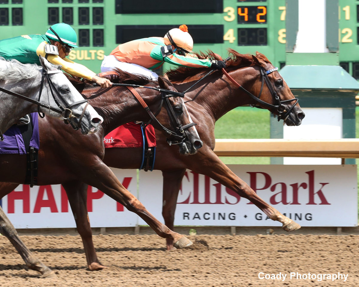 Oaklawn: Chris Hartman Holds Hot Hand With Two Millionaires In Ring The ...