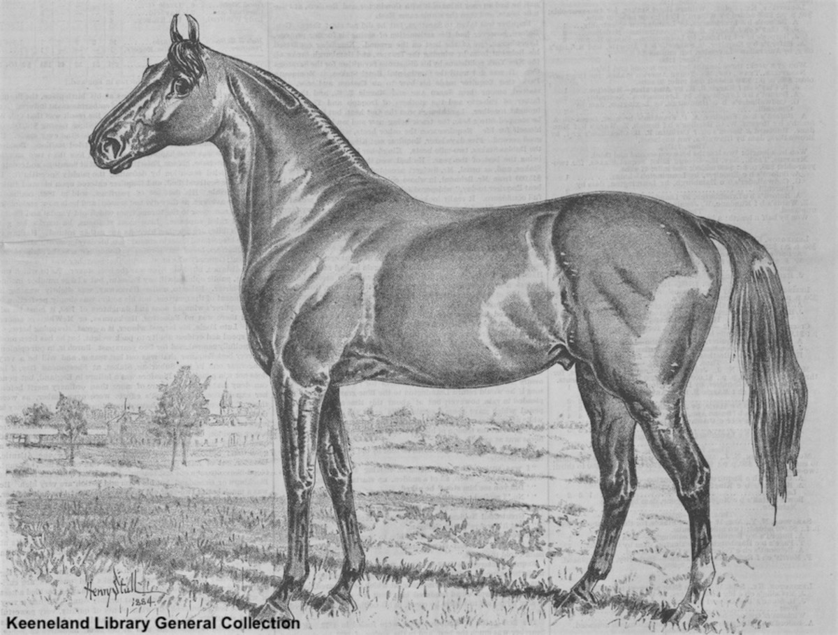 Kentucky Farm Time Capsule: Roots of Lane’s End Trace To ‘Princely ...