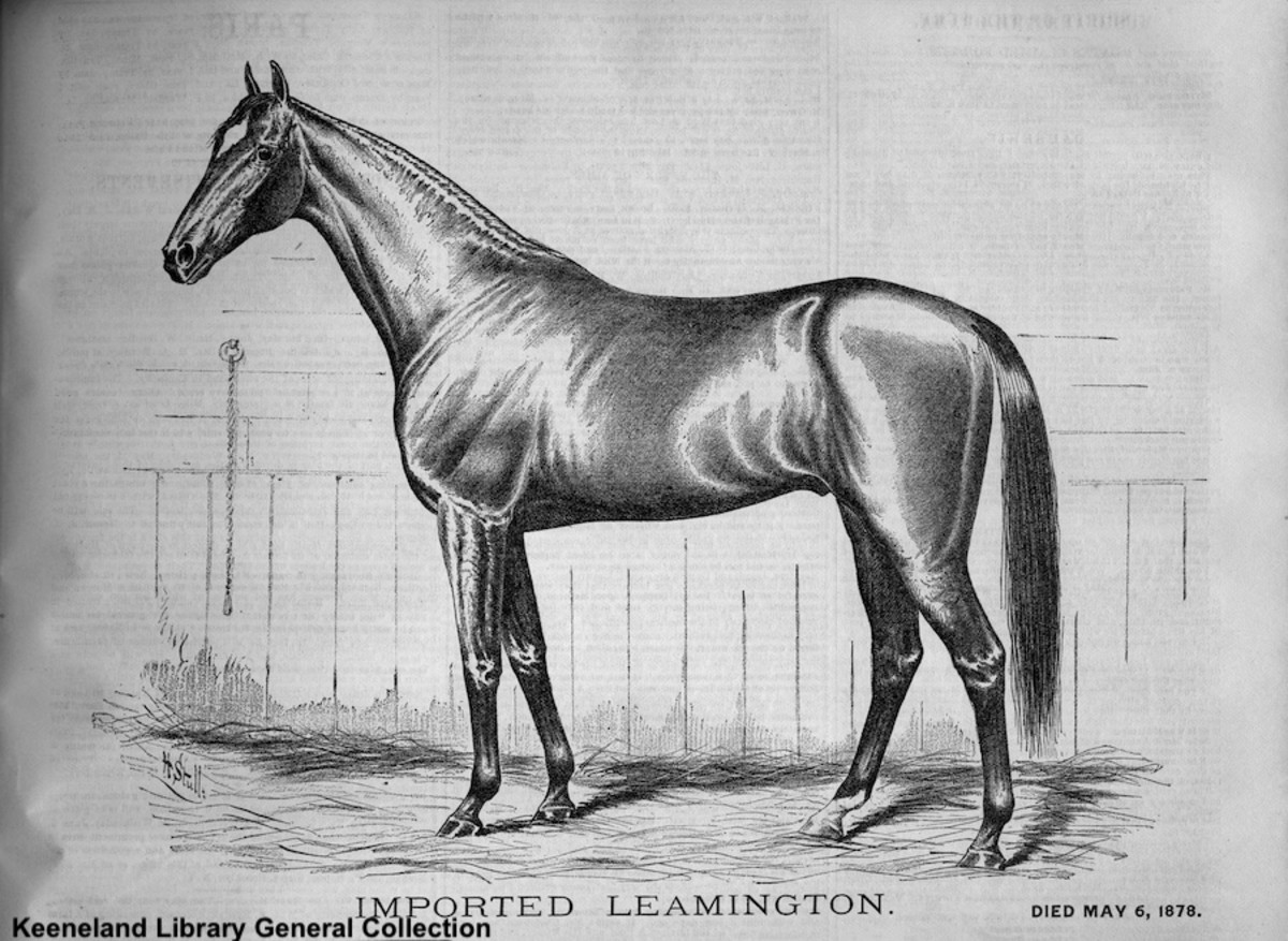 Kentucky Farm Time Capsule: Roots of Lane’s End Trace To ‘Princely’ Estate Of Colorful, Tragic ...