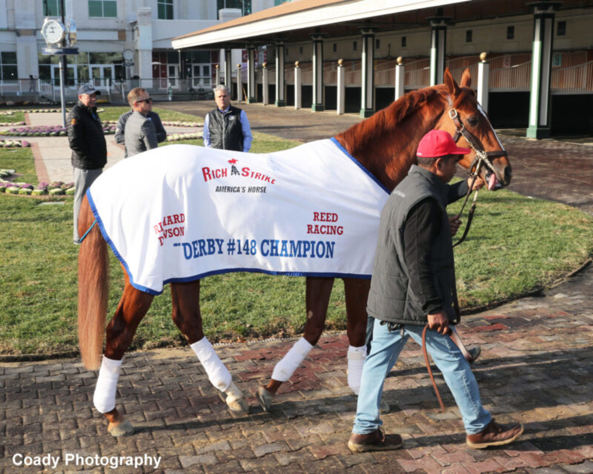 Rich Strike Back In Light Training; Pegasus World Cup On Radar For 2022 ...