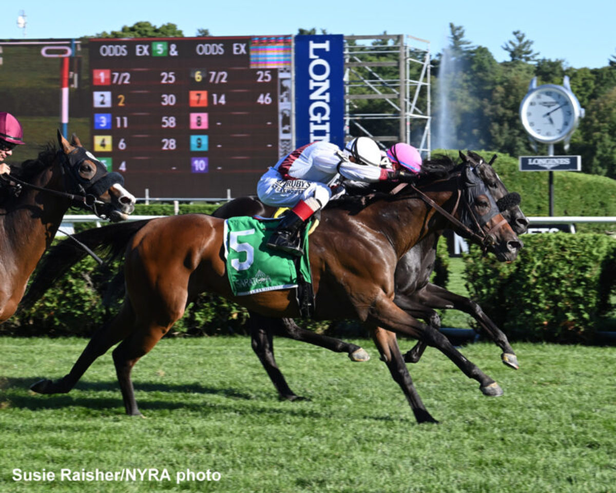 Donk To Send Out Thin White Duke, Yes And Yes In Aqueduct Turf Sprint ...