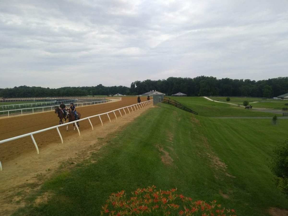 Fair Hill Training Center To Upgrade Tapeta Surface This Summer ...