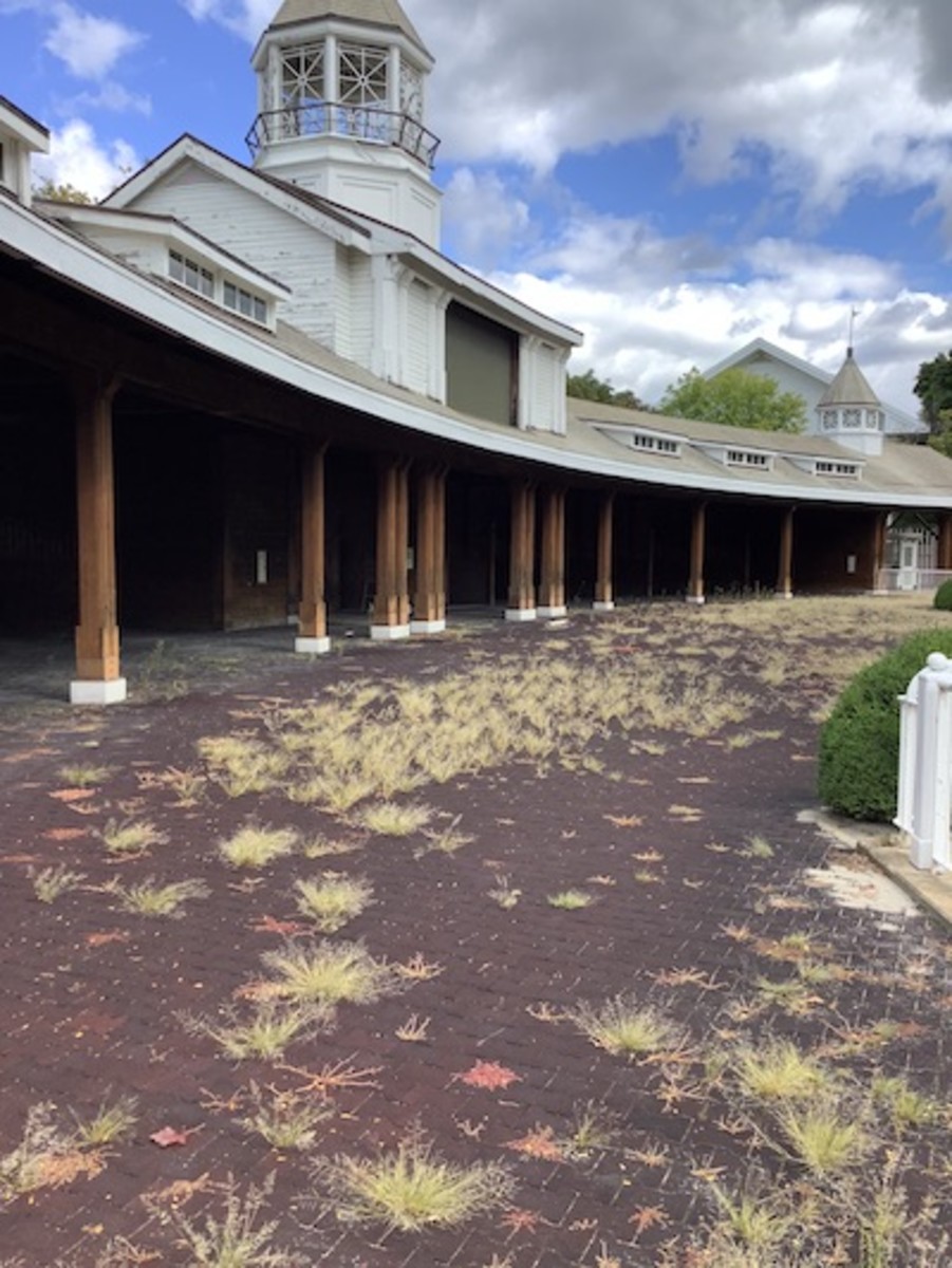 You Can't Always Get What You Want: Going, Going...GONE! The Auctioning ...