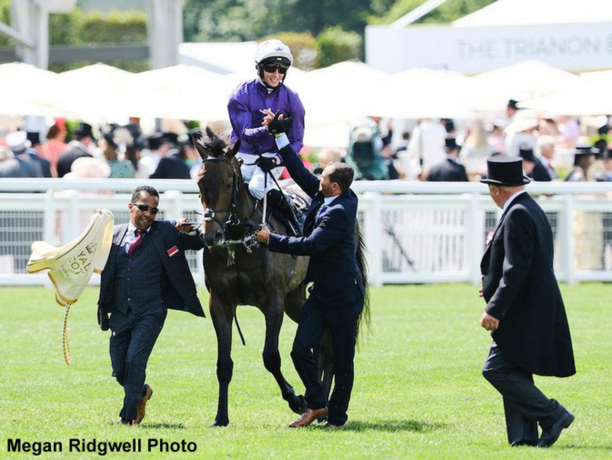 Royal Ascot Winner Valiant Force Tries Dirt In Gulfstream's Hutcheson ...