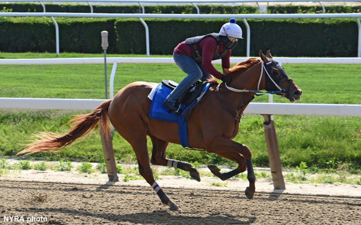 Belmont Stakes: National Treasure, Red Route One Both Breeze Monday ...