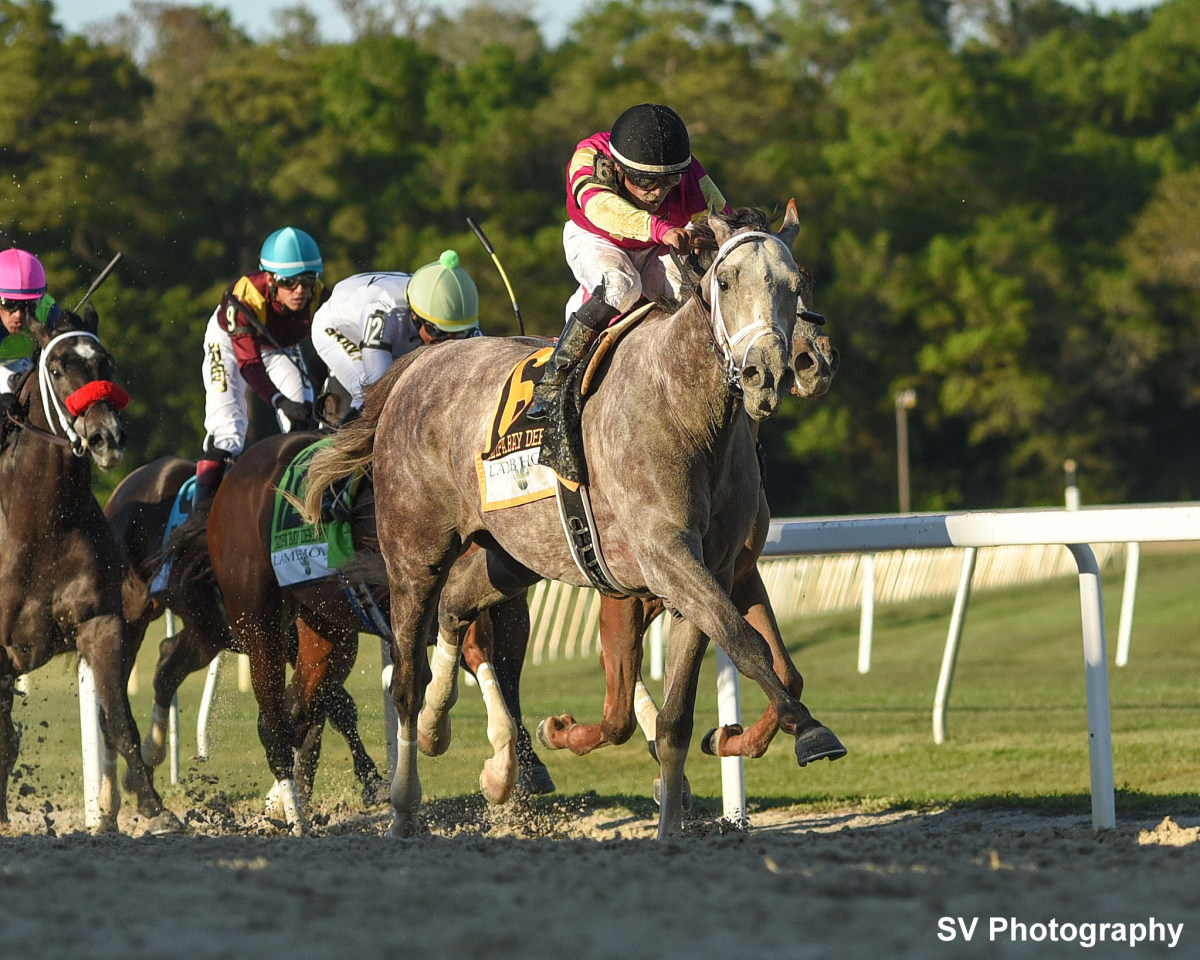 'He Ate Up The Ground': Tapit Trice Wins Tampa Bay Derby With Strong ...