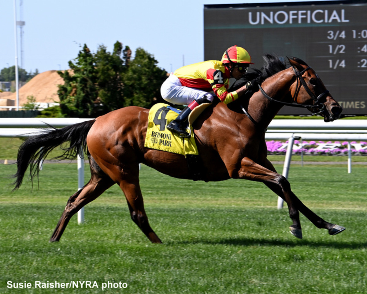 Queen Picasso Goes From Debut Winner To Graded Stakes Victress In ...