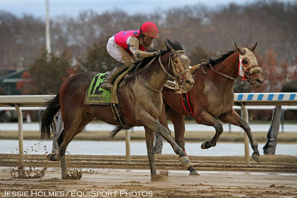 Derby Work: Raise Cain Completes 'Nice And Easy' Five Furlongs At ...