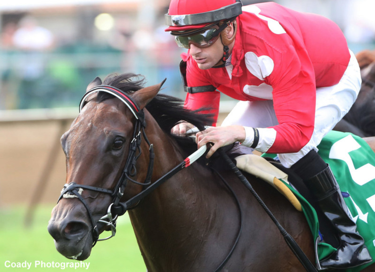 Equibase Analysis: Xigera Eyes Third Stakes Win Of 2023 In Mother Goose ...