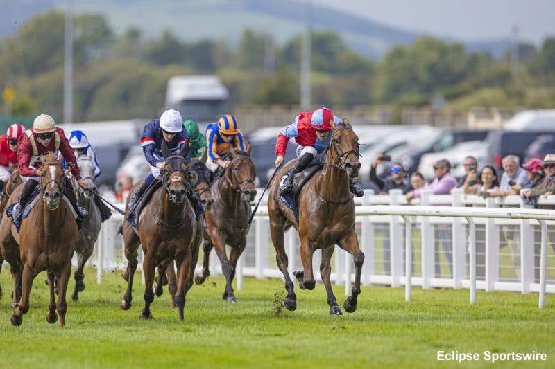 BC 'Win & You're In': Moss Tucker, Fallen Angel Land Group 1 Races In ...