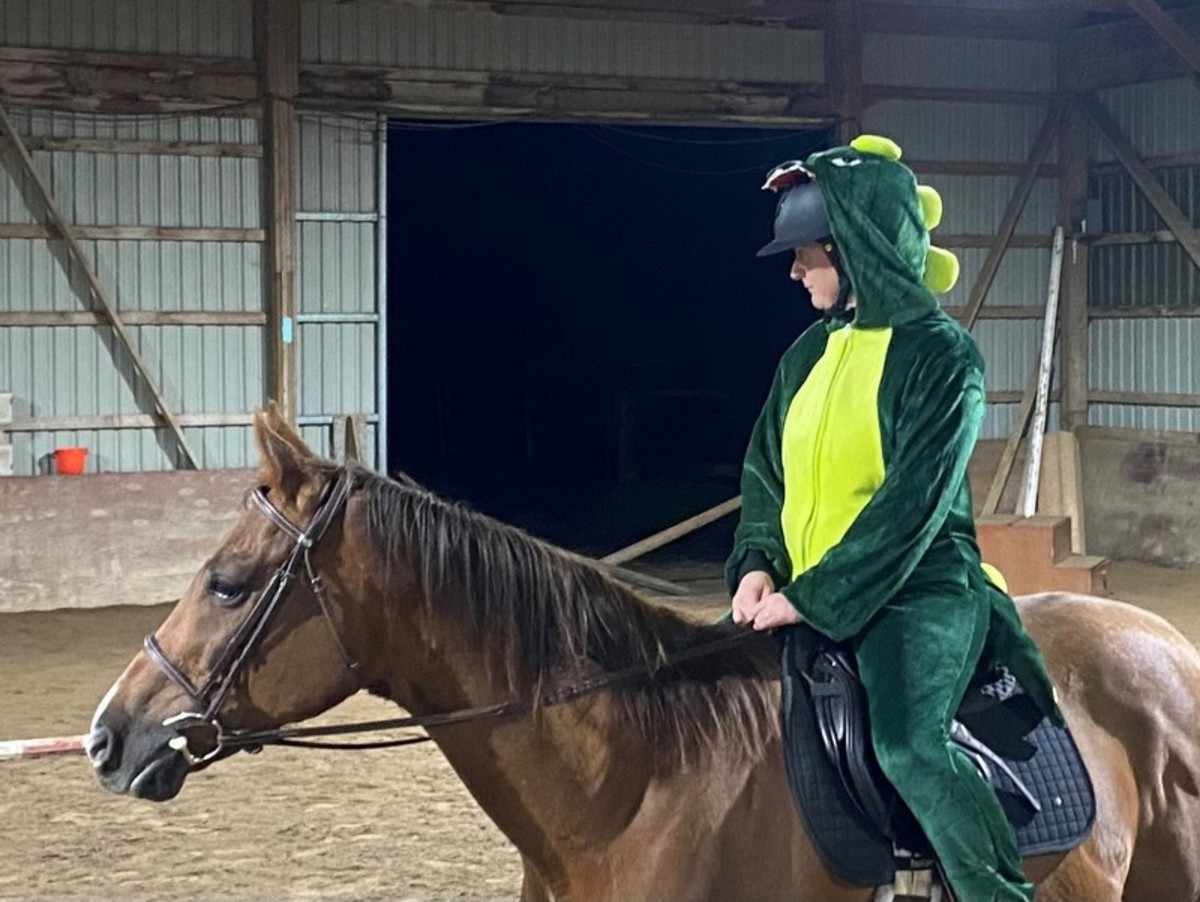 LongRun Graduate Florida Won 'Makes Every Day A Good One' - Paulick ...