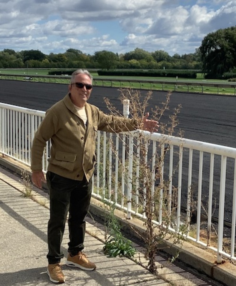 You Can't Always Get What You Want: Going, Going...GONE! The Auctioning ...