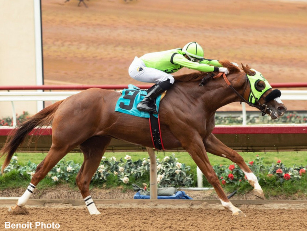 Dr. No No Heads 12 Statebreds For Friday's Golden State Juvenile ...