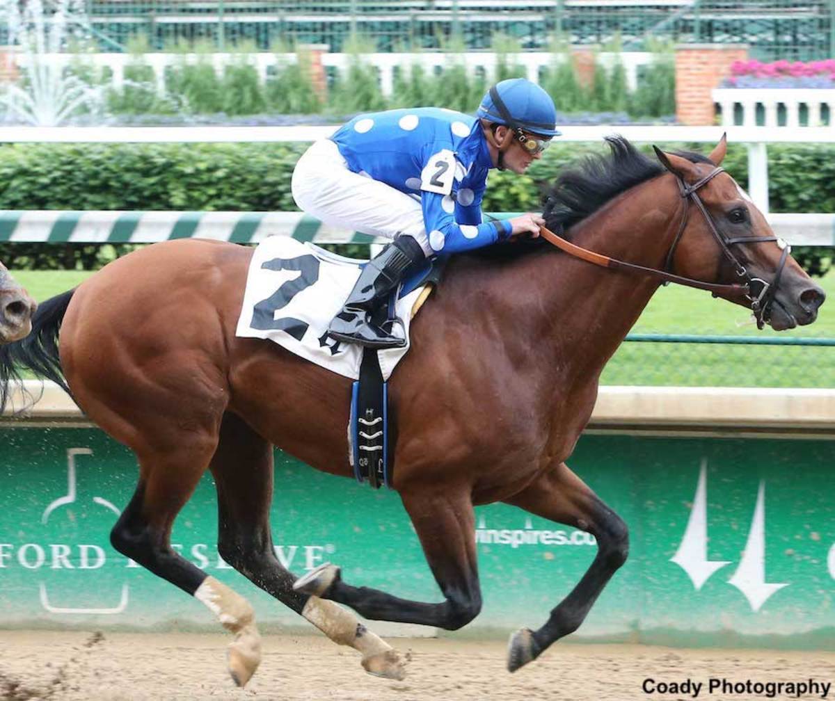 Stallion Spotlight Presented By New York Thoroughbred Breeders Inc ...