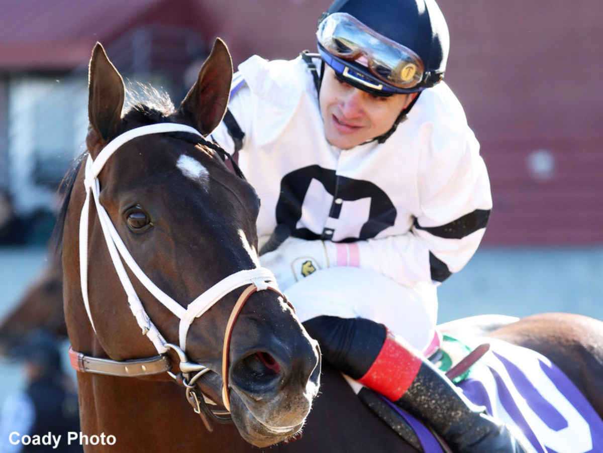 Lukas: Last Samurai 'Very Much Worthy Of Having A Shot' In Whitney ...