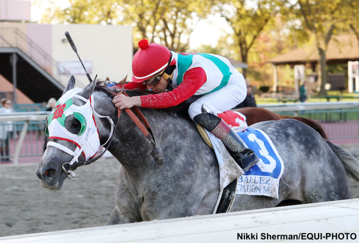 Pennsylvania-Breds Shine In $1-Million Pennsylvania's Day At The Races ...