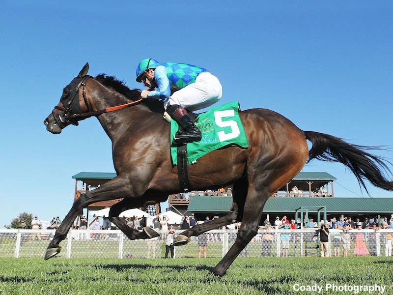 Harlan Estate Gives Beckman First Stakes Win In FanDuel Tapit At ...