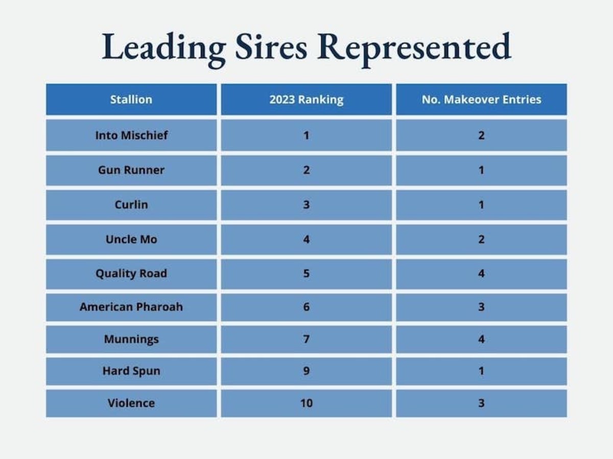 2023 Thoroughbred Makeover Numbers Show OTTB Values Rising; Half Of ...