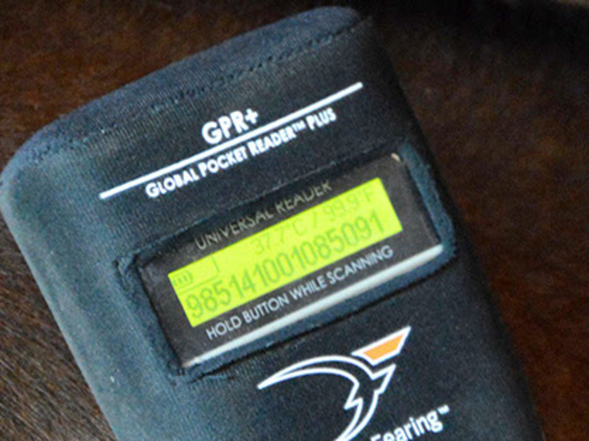 United States Equestrian Federation To Begin Requiring Equine ...