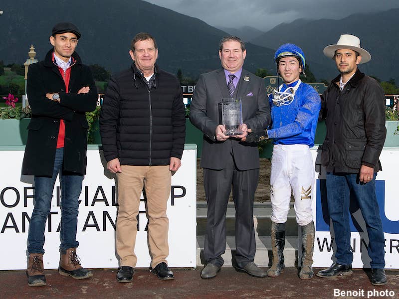 Breeders' Cup Presents Connections: Kirstenbosch No Garden Variety ...