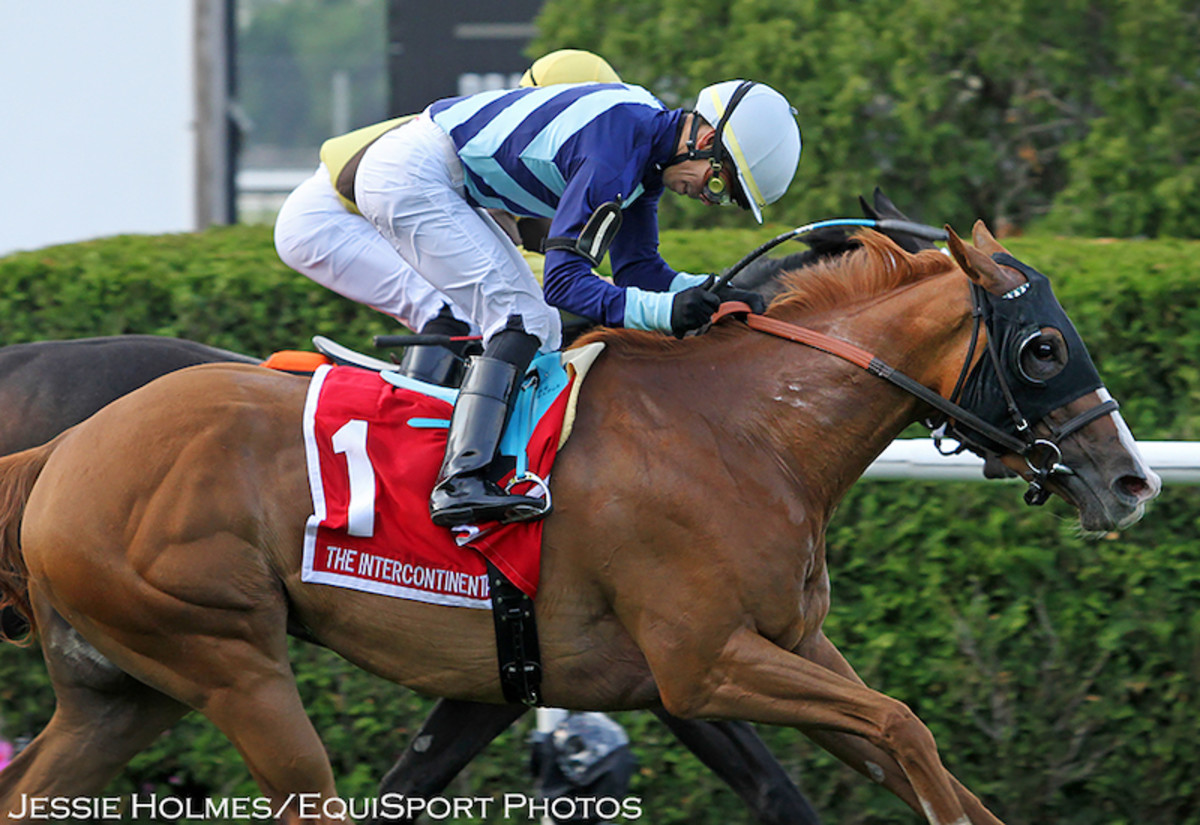 Poppy Flower Blooms Late To Win Intercontinental In Final Strides ...