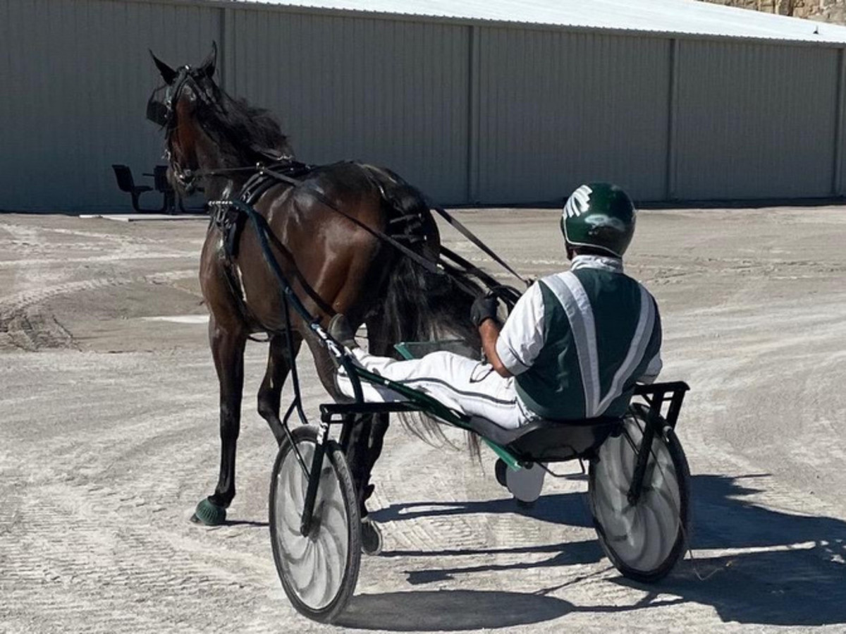 Cumberland Run Harness Track Opens Sunday; Kentucky's Newest Track To ...
