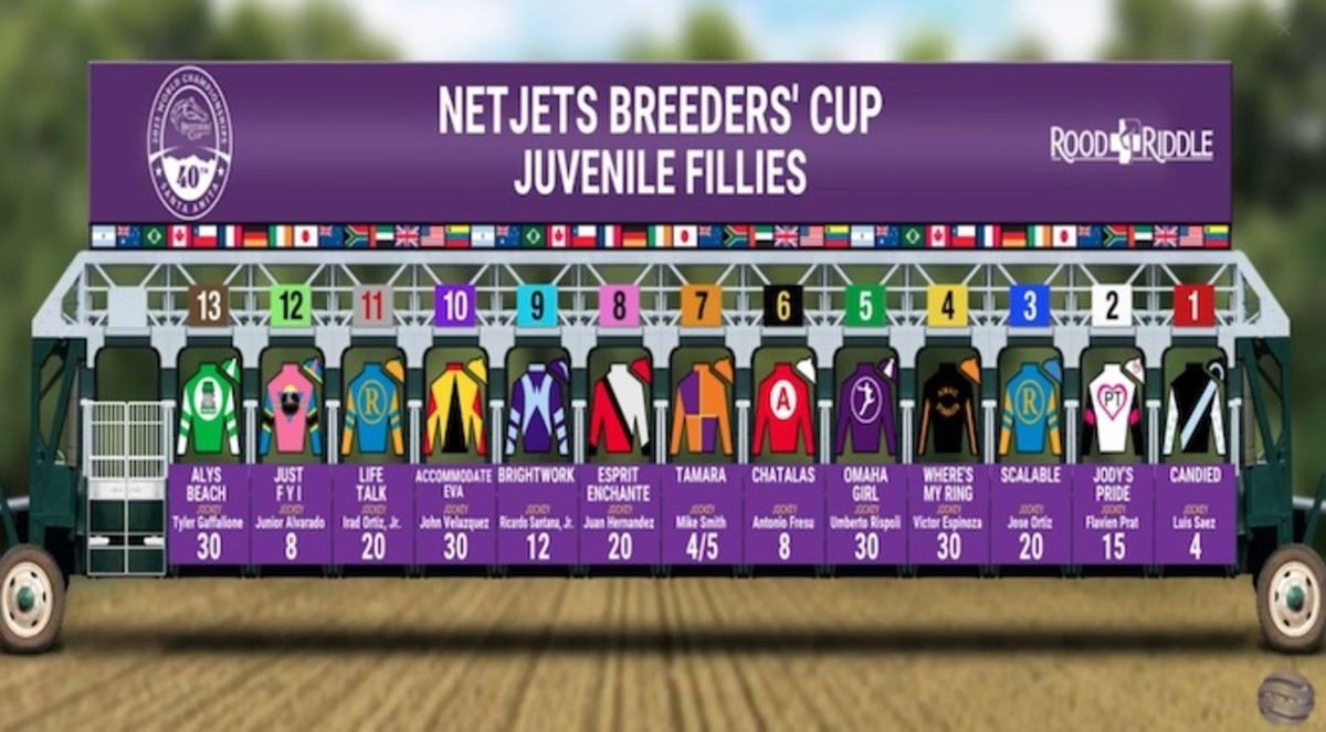 Breeders' Cup Post Positions: Classic Favorite Arabian Knight Draws 12 Post - Paulick Report ...