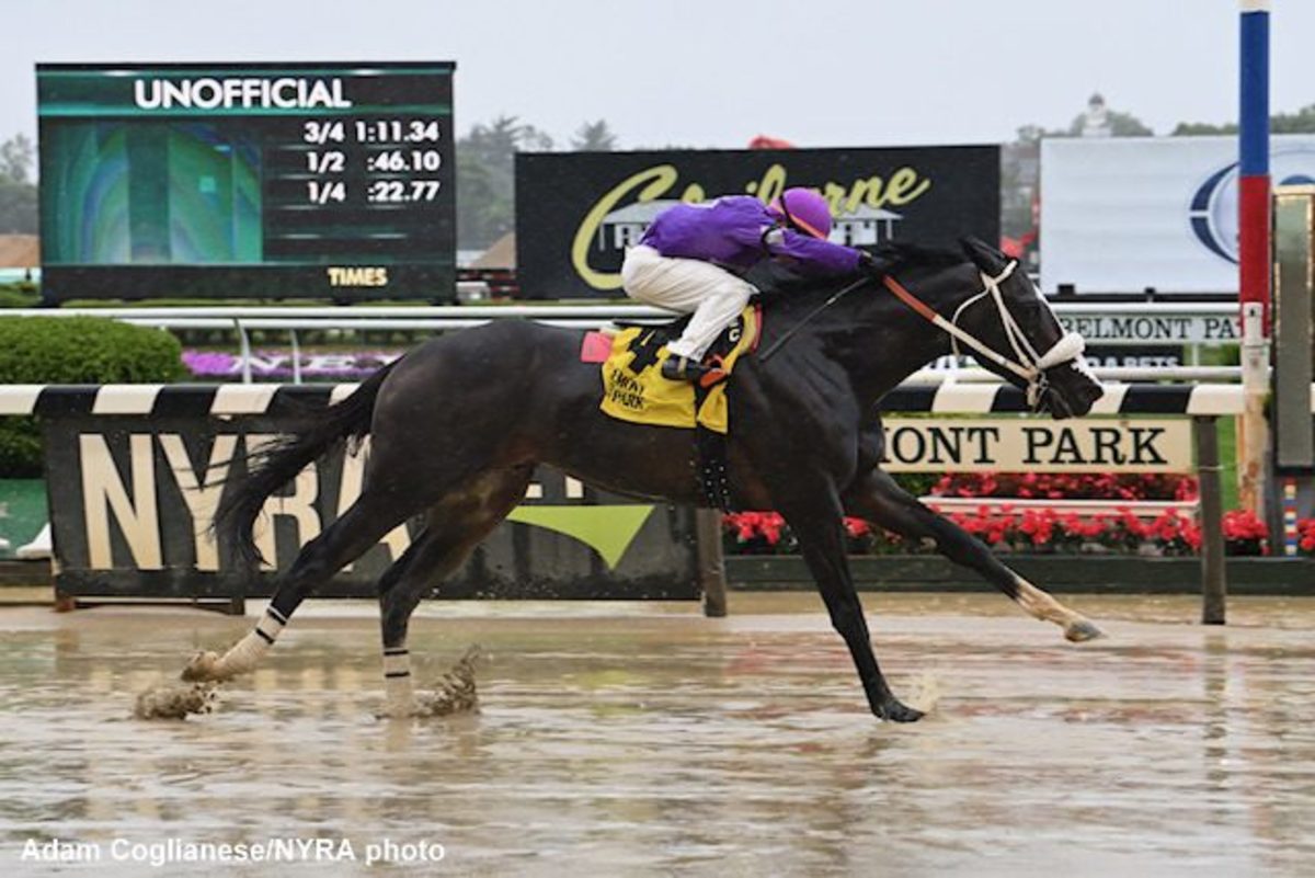 Maiden Winner Freudmein In With Big Shot In New York Derby - Paulick ...