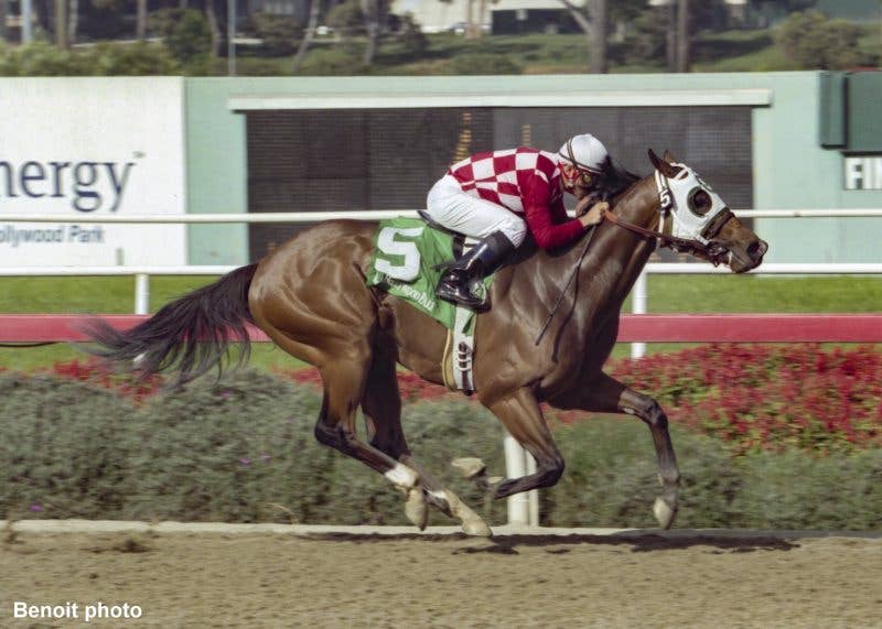 ‘They Spoil Him’: Former Elite Sprinter Caller One Thriving In ...