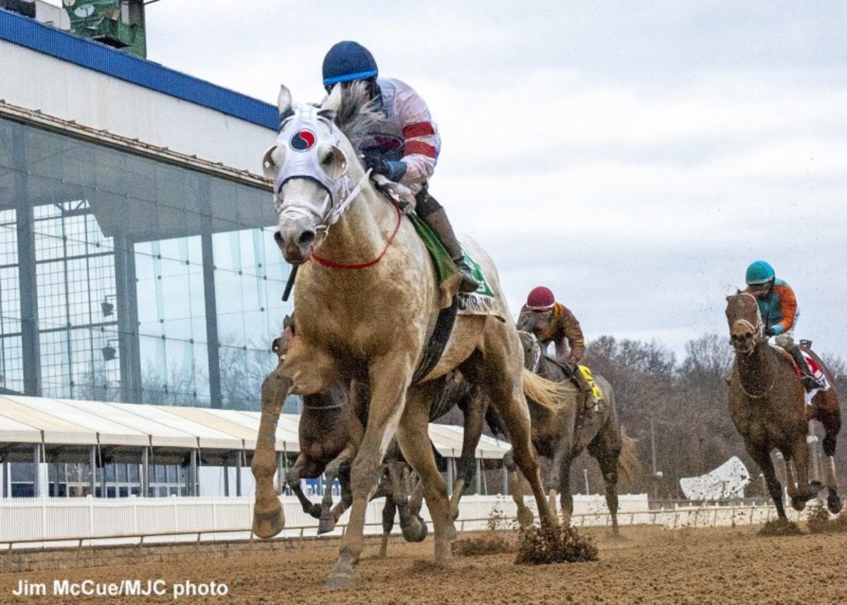 Factor It In Chases First Graded Victory In General George On Laurel's ...