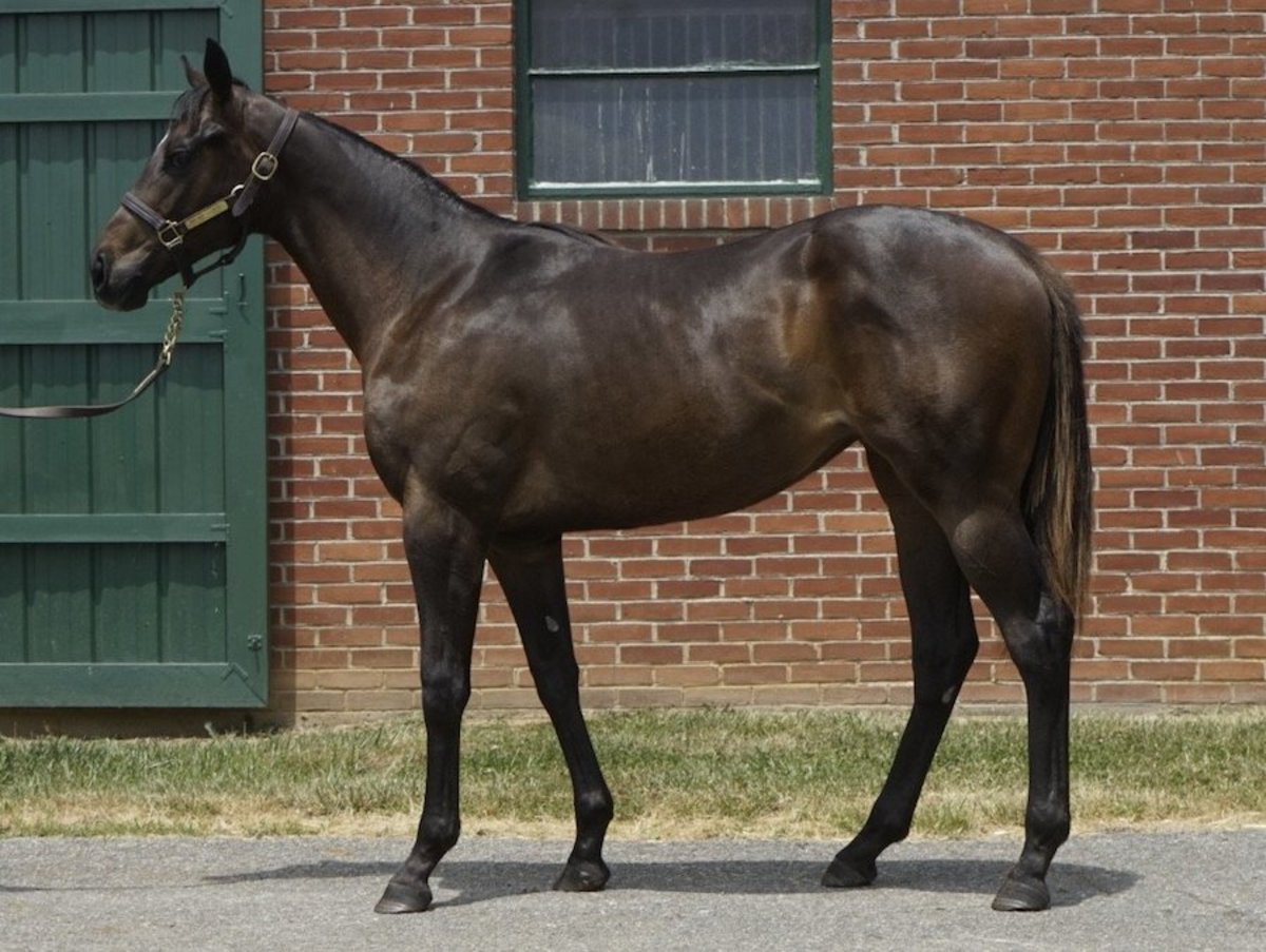Wanamaker’s 2023 June Sale Catalog Now Available - Paulick Report ...