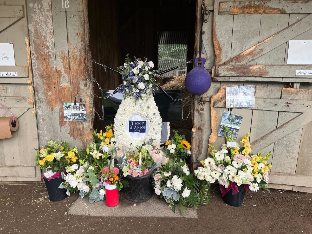 ‘We’ll Never Forget Your Girl’: Fans’ Outpouring Of Support Results In ...