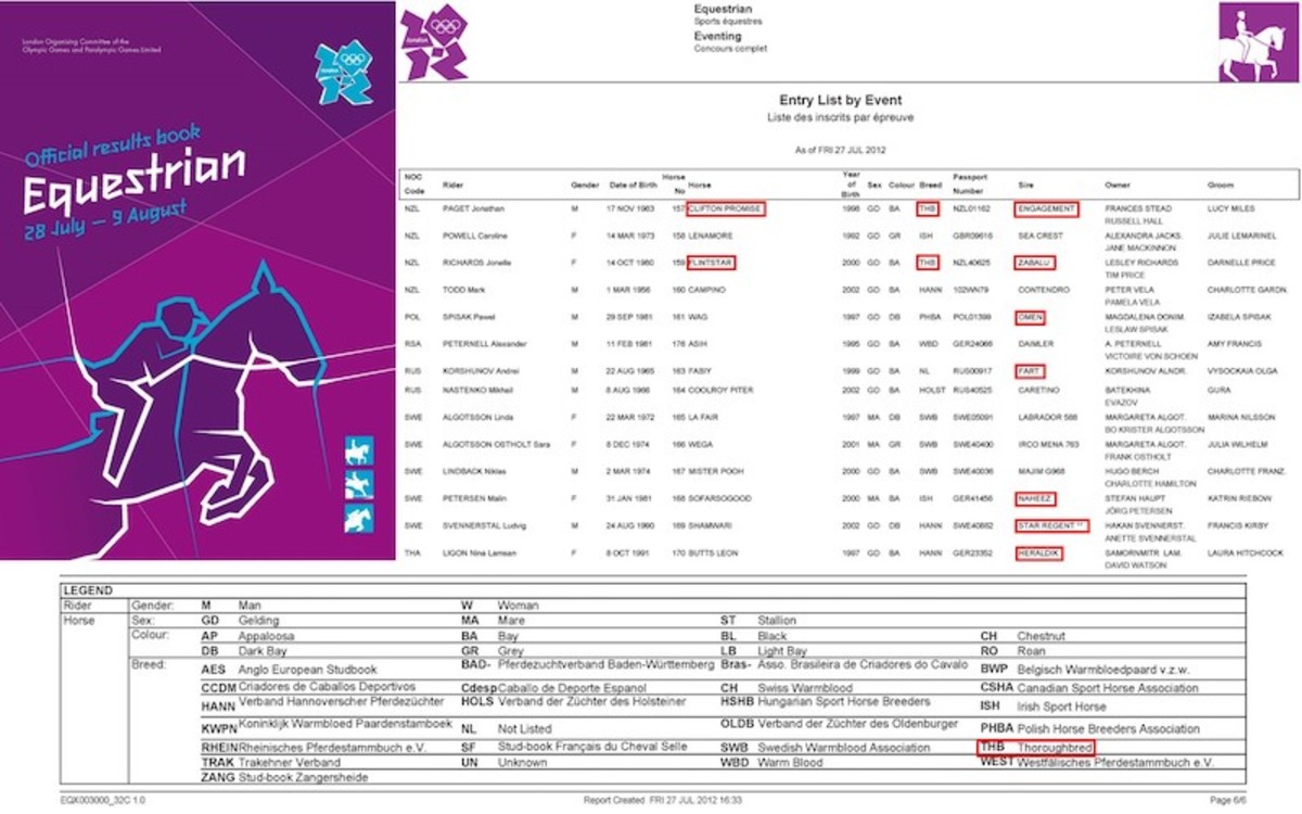 Horowitz On OTTBs Presented by Excel Equine: The Case Of The Missing ...