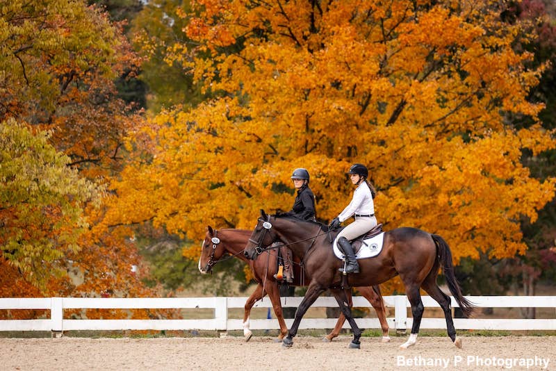 2023 Thoroughbred Makeover Numbers Show OTTB Values Rising; Half Of ...