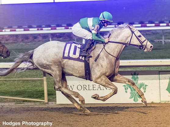 Desormeaux Takes Aim At Count Fleet Sprint With Another Bargain Buy ...