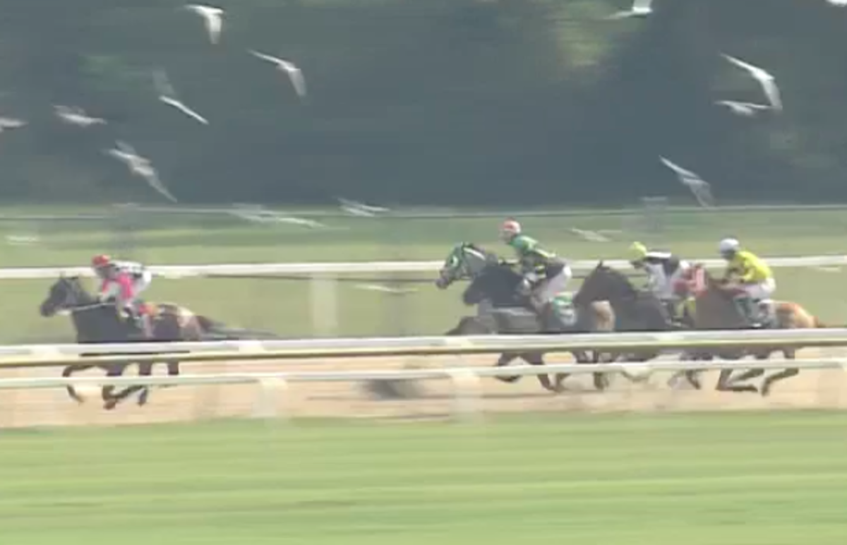 'We Won The Race Of Life In That Race': Manny Jimenez Avoids Incident ...