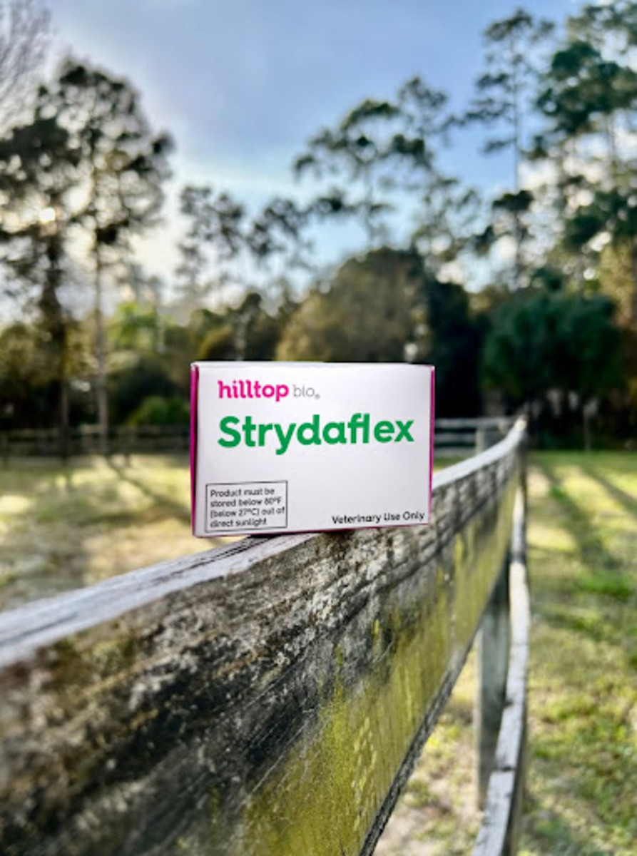 Hilltop Bio Launches Strydaflex For Equine Joint Health - Paulick ...