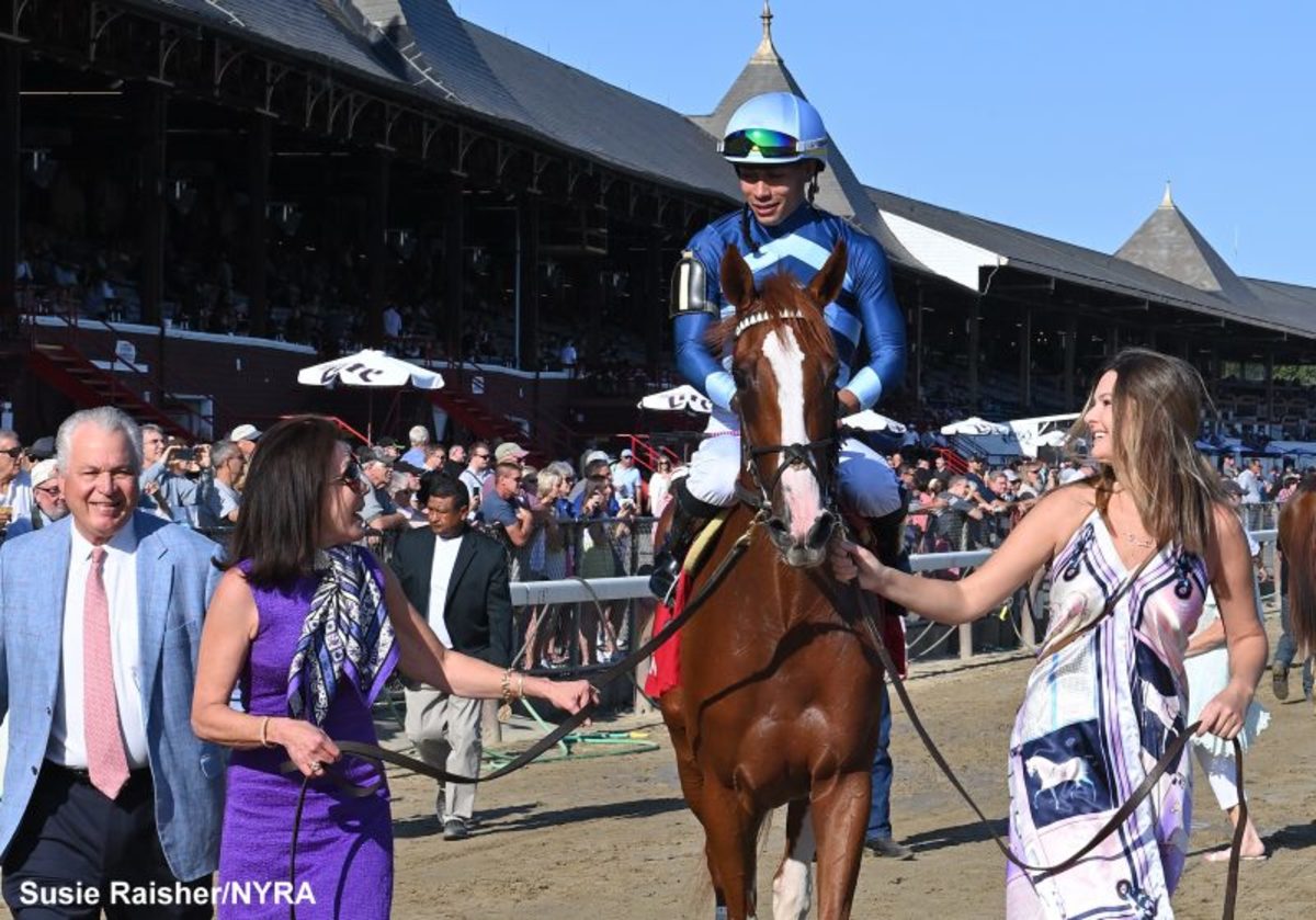 With Anticipation Victress Filly Gala Brand 'Pride And Joy' Of Arnmore ...