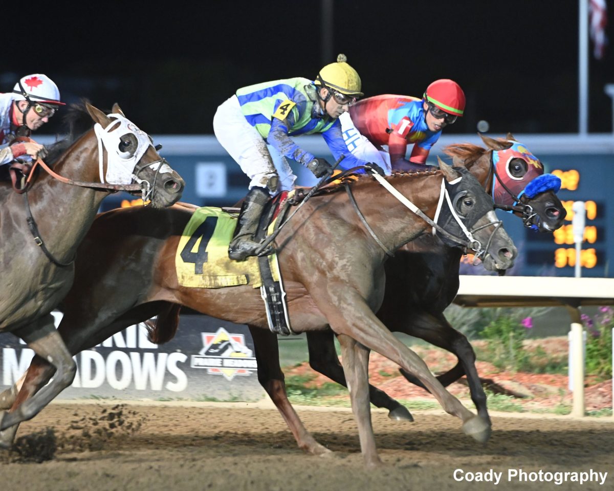 Graded Winner How Did He Do That To Enter Stud For R.A. Rowe Farms In ...