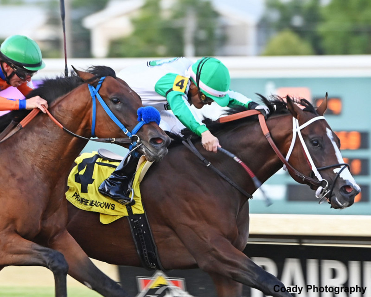 Reaper Among Gulfstream's 'Road To Royal Ascot Series' Alumni To Excel ...