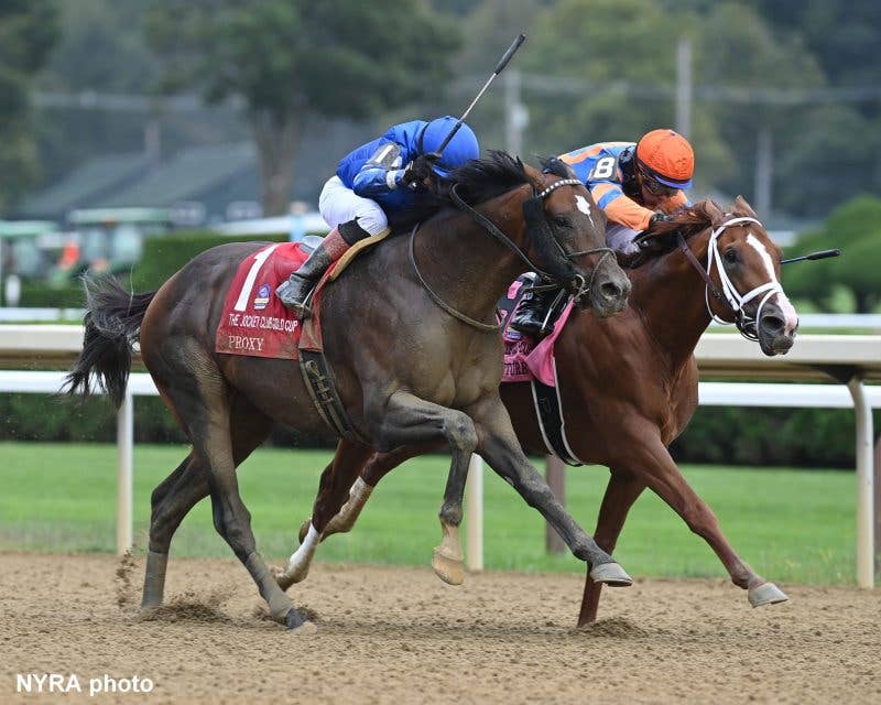 Gutsy JCGC Runner-Up Proxy Could Go 'Straight To The Breeders' Cup ...