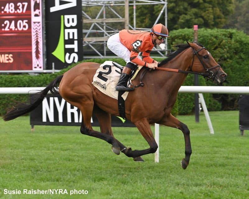 Aspray Tops Brown Exacta In Lake Placid - Paulick Report | Latest news ...