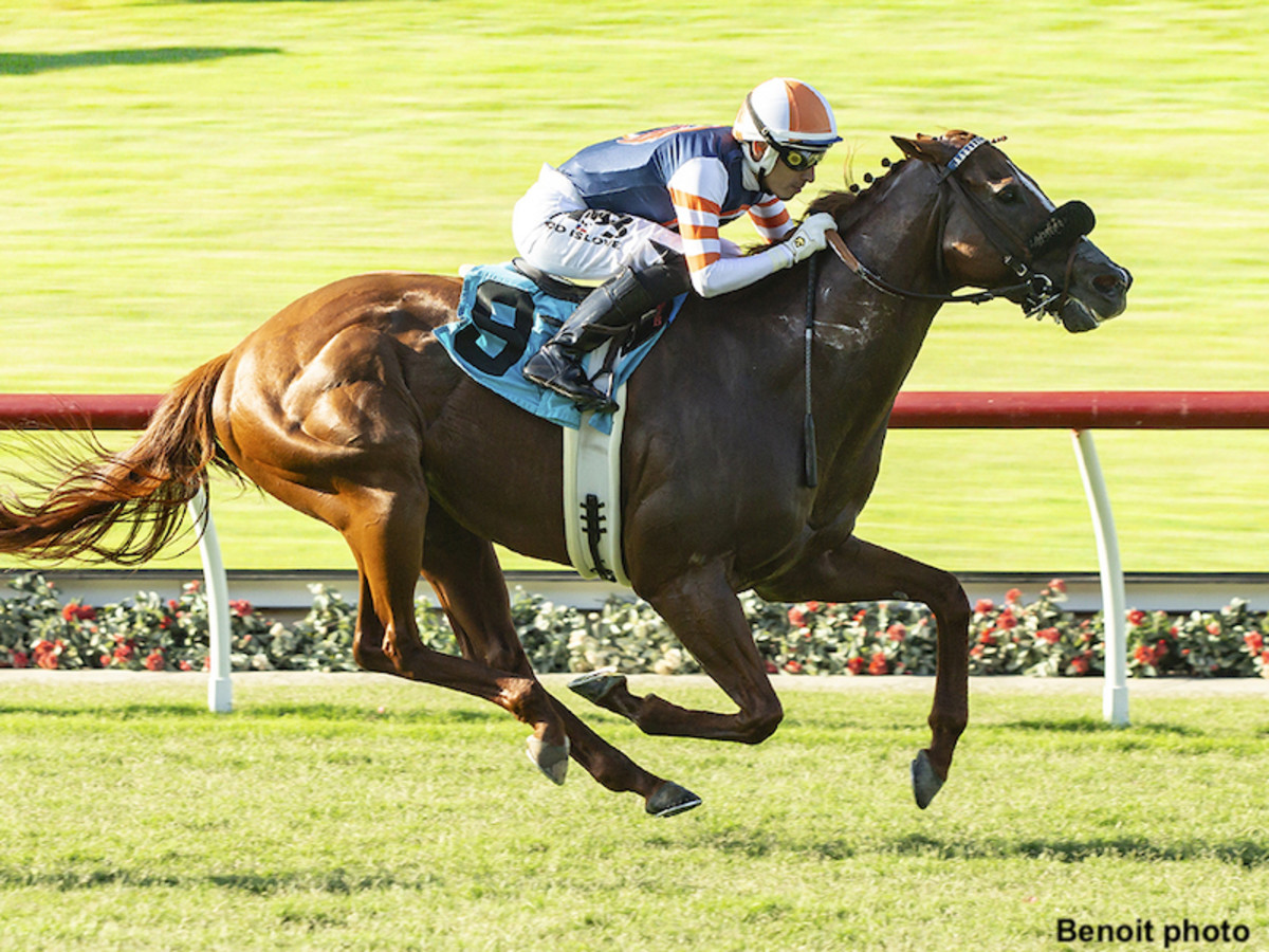 Conclude Kicks Off Del Mar Meet With Oceanside Stakes Score - Paulick ...