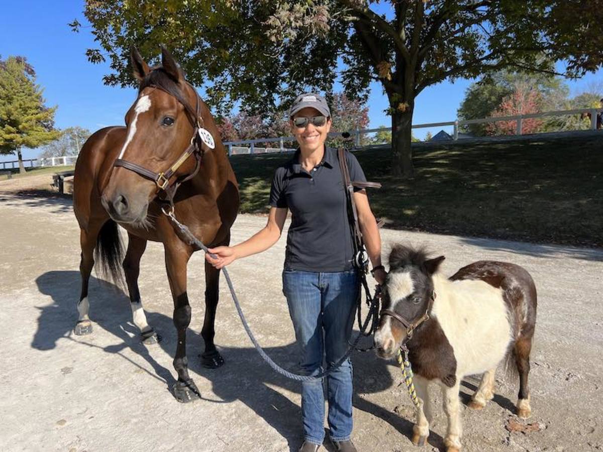 Barn Buddies At The Thoroughbred Makeover: Mini Horses Make The Haul ...
