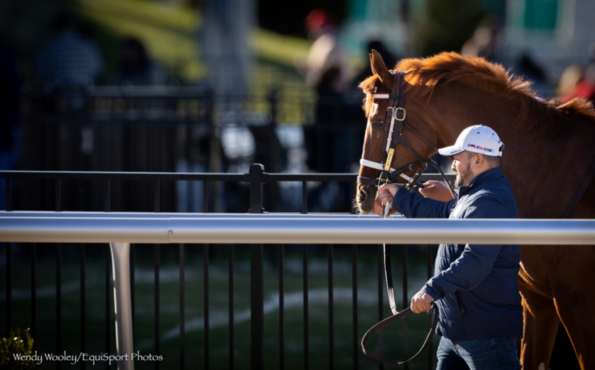 Rich Strike Owner Files Suit Against Hot Rod Charlie Connections In ...
