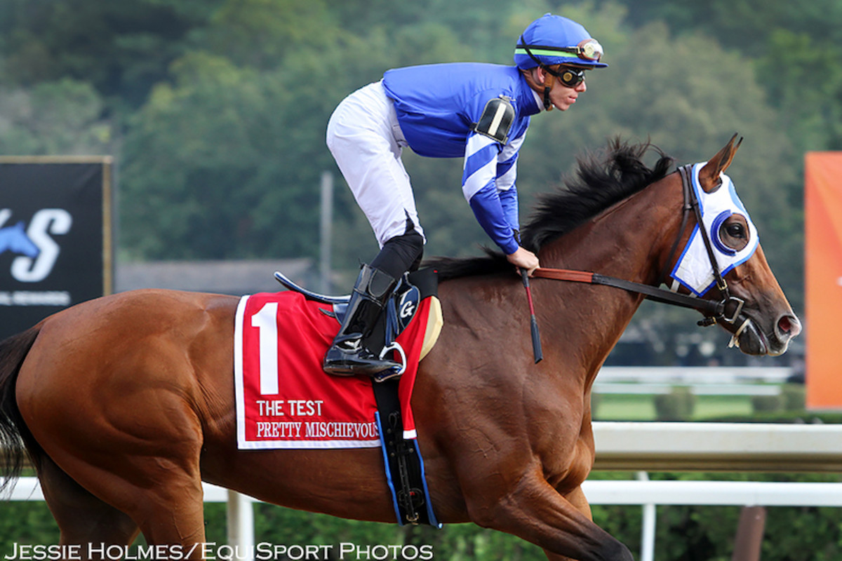 Stunning Breakdown Of Maple Leaf Mel Overshadows Test, Pretty ...