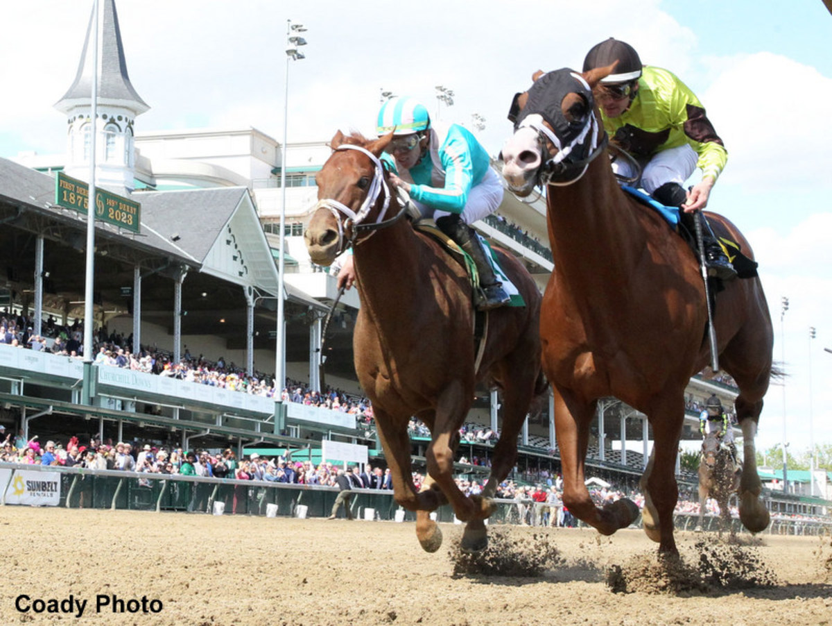 Grade 3 Winner Warrant Moves To Murmur Farm In Maryland For 2025 ...