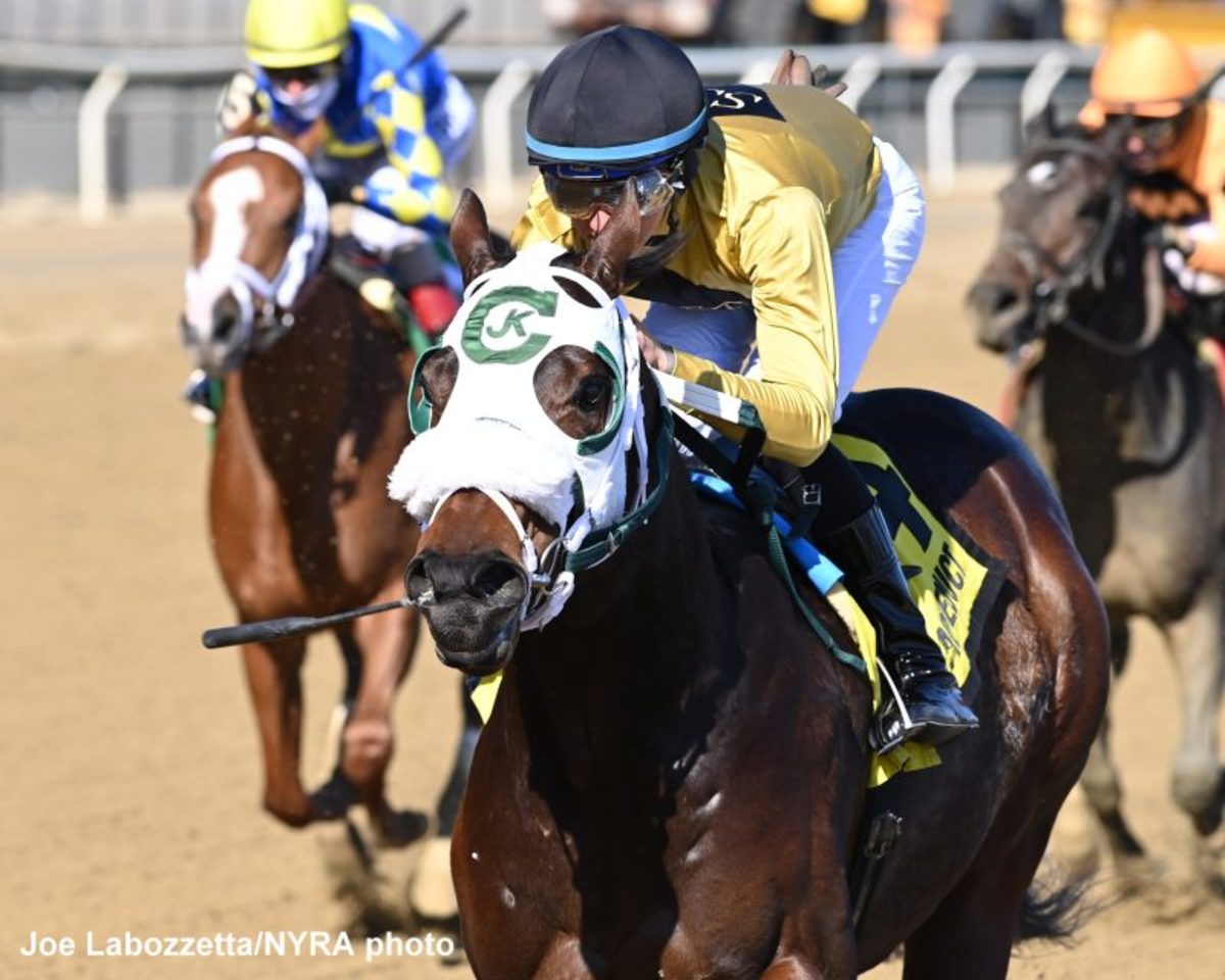 'He's A Really Professional Horse': Unbeaten Drew's Gold Streaks To ...